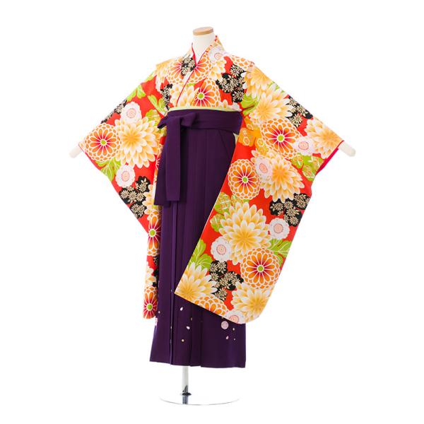 小学生　卒業式袴レンタル着物:朱赤色地　桜菊袴:紫袴　刺繍入り■対応身長(草履使用):148〜153cmくらい■裄:66 身丈:156.5 袖丈:87 袴丈:87　前幅:23 後幅:29(cm)■表地:化繊※肩上げ済■＜セット内容　小学生　...