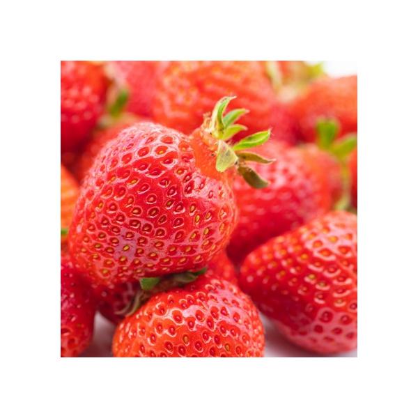 福岡県が誇るブランドいちご「あまおう」を、こだわりを持つ契約農家さんから産地直送でお届けします。甘み・酸味・コクのバランスに優れたあまおうは、大粒で果肉がしっかりしており、ひと口食べれば濃厚な味わいが広がります。本商品は完熟のタイミングを見...