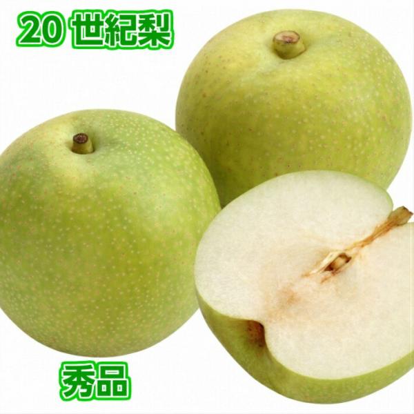 【発売日：2026年08月15日】鳥取県産の「二十世紀梨」は、生産量日本一を誇り、爽やかな甘みと豊かな風味が特徴の高級果実です。厳選された最高ランク（秀品赤）の梨は、8月中はシャリシャリとした食感とみずみずしい香りが魅力です。9月になると梨...
