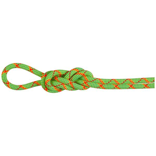 マムート MAMMUT 8.0ALPINECOREPROTECTDRYROPE60M ロープ ハイキング トレッキング クライミング 登山 マウンテニアリング 2010-05070  201005070　アウトドア　アルパインクライミングや...