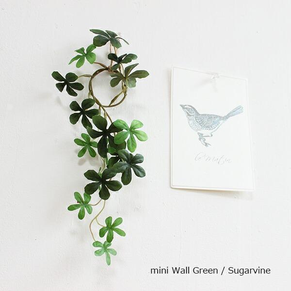 ドアや壁にさりげなく飾れる小さなグリーン<BR>やさしくナチュラルな雰囲気に癒されます<BR><Br>■ミニスワッグ シサスシュガーバイン＊麻紐付 （造花）<br>■全長 約30 cm（紐含む...