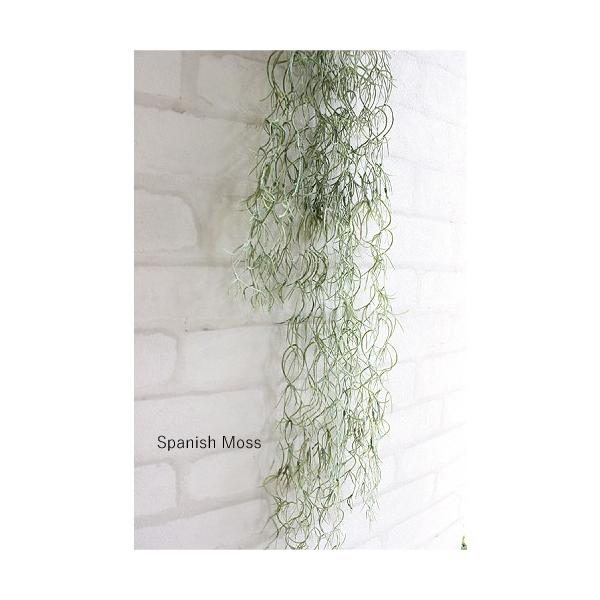 人気のスパニッシュモスフェイクグリーンに♪グレイッシュグリーンがナチュラル♪お世話要らずのフェイクグリーンはインテリアにぴったりです♪■スパニッシュモス＊チランドシア/ウスネオイデス/チランジア（造花）■材料　ポリエステル／ポリエチレン■全...