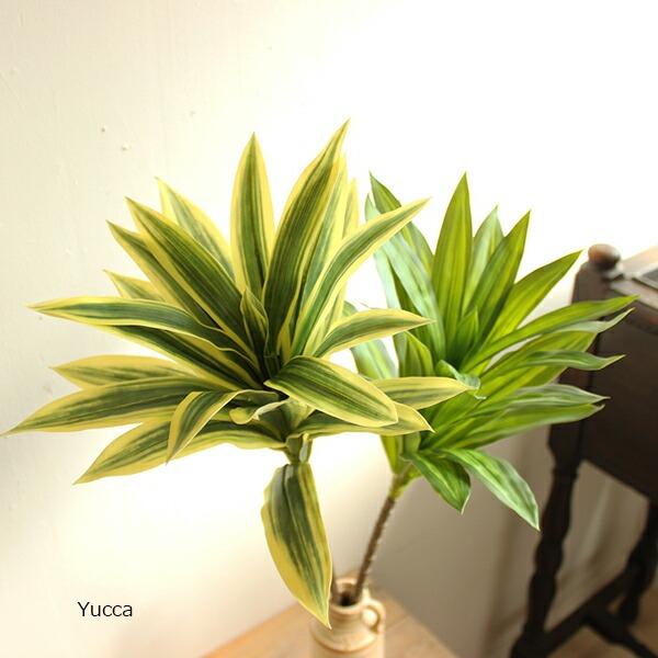 「金運・仕事運・勉強運UP」につながるグリーン、ユッカ<BR>白とグリーン、濃淡のコントラストが爽やかで美しくインテリアとしてナチュラルに飾っていただけます<BR><BR><BR>＊写真の花器...