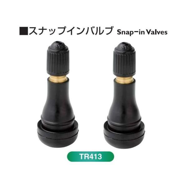 一般的に使用されているチューブレスタイヤ用スナップインバルブキャップにパッキンが付いている高品質タイプです。