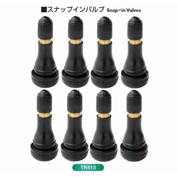 一般的に使用されているチューブレスタイヤ用スナップインバルブキャップにパッキンが付いている高品質タイプです。