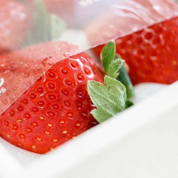 福岡県の農業総合試験場で誕生した「あまおう」は芳醇な香りと濃い甘味、みずみずしい果肉の充実度が特徴。ネーミングは『あ・赤い』、『ま・丸い』、『お・大きい』、『う・美味い』の頭文字と『甘いイチゴの王様になるように』という願いを込めて付けられま...