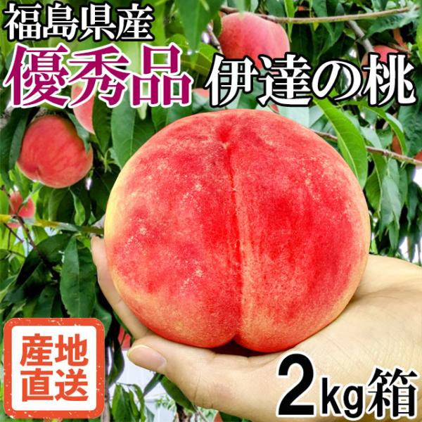 【発売日：2025年07月28日】くだもの王国のふくしまの夏といえばジューシーで甘い「桃」です。本当においしい桃作りにこだわる生産者を厳選して、お送りいたします。ふくしまのももがおいしい理由●ももは、もともと暖地を好む果物であり、主産地の県...
