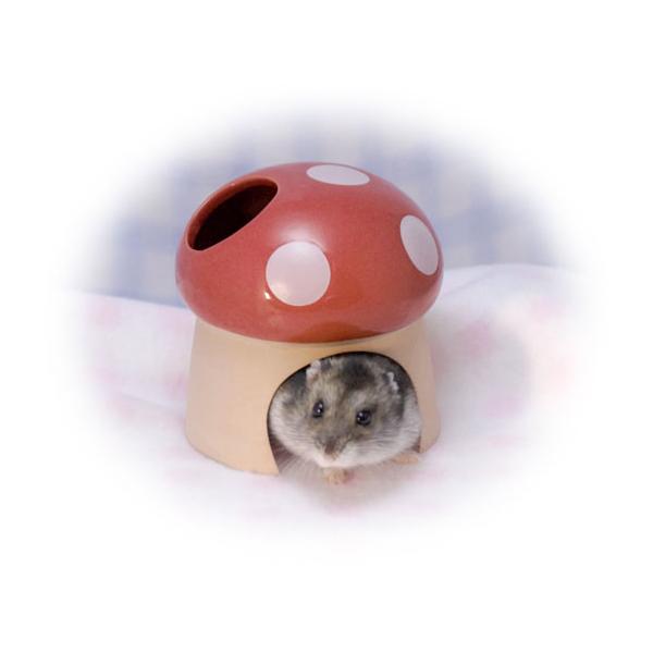 ドワーフハムスター用素焼きハウス・きのこサイズ：Ｗ85×Ｄ85×Ｈ85mm入り口のサイズ：約40×30mm●ドワーフ（小さい）ハムスター用の素焼きで作ったおうちです。※自然素材を使用し、手作りで製造しておりますので、素材のロットや、焼き温度...