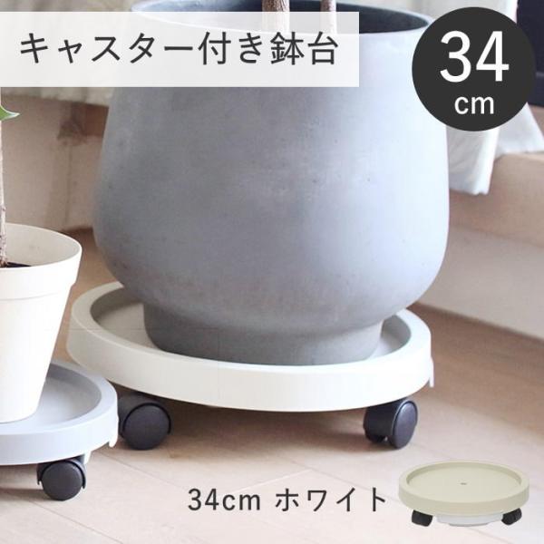 ●プラントムーブ 34cm ホワイト●掃除や模様替え、日当たり調節での移動がラクラク！重たい鉢植えもスムーズに動かせる、キャスター付きプランター台。●スライド式の水受けトレーが付いているので、水やり時に出る余分な水をしっかり受け止め、簡単に...