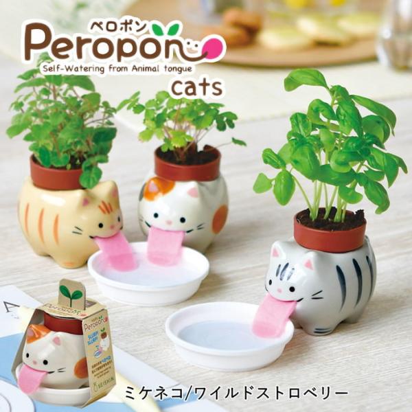 ●Peropon cats ペロポンキャッツ ミケネコ/ワイルドストロベリー●ポットや土、種などが揃った栽培キットです。園芸初心者でも気軽に植物の栽培を始められます。●ペロペロとお水を飲んでいる姿が愛らしい「ペロポン」。飲んだお水が背中のポ...