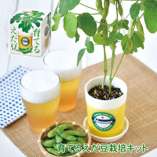 ●育てるえだ豆栽培キット●夏の暑い日、大人の楽しみと言えば…「ビールにえだまめ！！」ヘルシーなおつまみとして海外で「edamame」と通じるほど。思わず笑顔になってしまうえだまめの栽培キットです。●ポットや土、種などが揃っているので、園芸初...