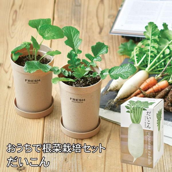 ●おうちで根菜栽培セット だいこん●ポットや土、種などが揃った栽培キットです。園芸初心者でも気軽に栽培に挑戦できます。●土がたっぷりと入る深鉢なら、おうちで根菜も育てられます。●根菜栽培の楽しさは土の中で無事に育っている様子が見えないドキド...