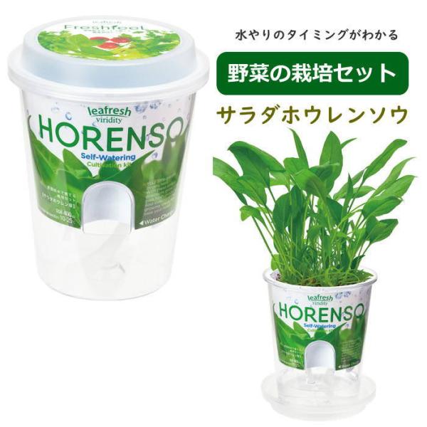 ●Fresh Feel　フレッシュフィールサラダホウレンソウ●ポットや土、種などが揃った栽培キットです。園芸初心者でも気軽に栽培に挑戦できます。●側面に注水口がありインナーポットを持ち上げなくても、直接ポットの底に水を注ぐことができる底面給...
