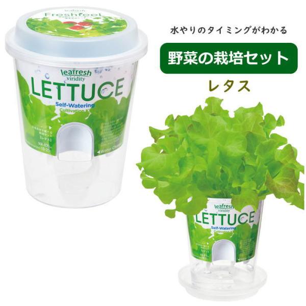 ●Fresh Feel　フレッシュフィール レタス●ポットや土、種などが揃った栽培キットです。園芸初心者でも気軽に栽培に挑戦できます。●側面に注水口がありインナーポットを持ち上げなくても、直接ポットの底に水を注ぐことができる底面給水栽培セッ...