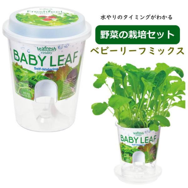 ●Fresh Feel　フレッシュフィール　ベビーリーフミックス●ポットや土、種などが揃った栽培キットです。園芸初心者でも気軽に栽培に挑戦できます。●側面に注水口がありインナーポットを持ち上げなくても、直接ポットの底に水を注ぐことができる底...