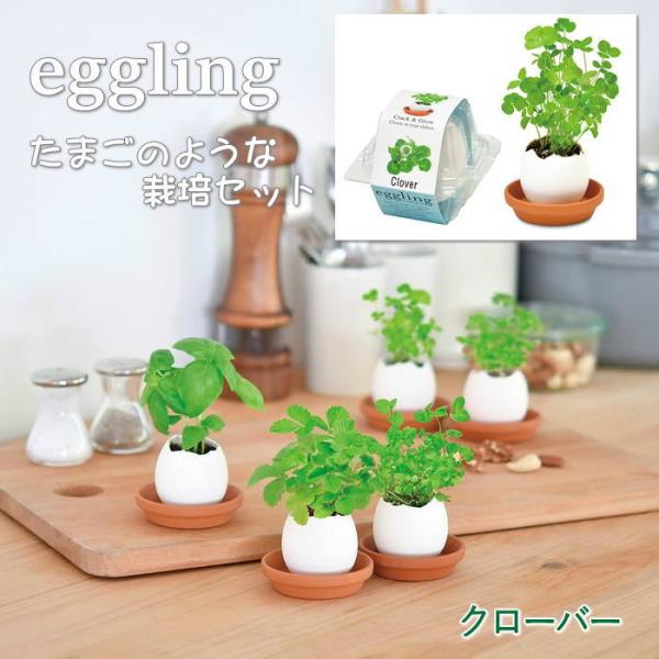 ●eggling エッグリングクリアパッケージ クローバー●まるで本物のたまごのようなeggling。見た目も手触りも本物のたまごのようですが、たまごは陶器でできていて、中には種と土がセットされています。上部をスプーンなどでコンコンと割って...