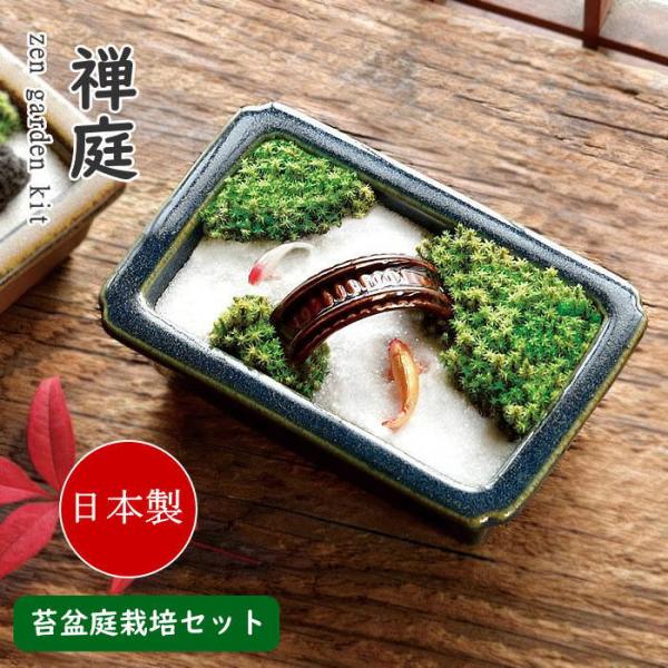 ●禅庭 ZEN TEI ZEN GARDEN 鯉 ●枯山水の庭園を手のひらサイズの浅型の盆栽鉢に、苔や白砂を自由にコーディネートしてスナゴケを育てる苔鑑賞キット。●青系のなまこ釉には陶器製の太鼓橋と鯉のフィギュア2匹をセット。●あなただけの...