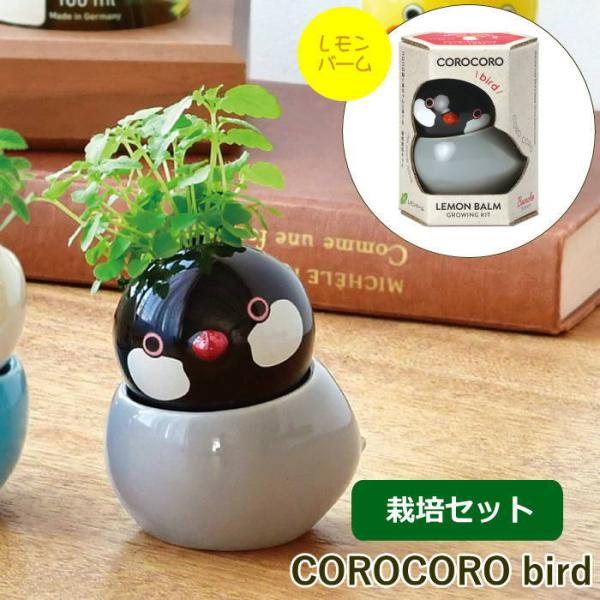 ●コロコロバード COROCORO bird ブンチョウ レモンバーム●大人気のコロコロシリーズにカラフルな小鳥たちが仲間入り！。かわいいパッケージで プレゼントにもぴったりです。●体の中に水を溜めて、頭の上で小さな植物を育てる底面給水栽培...
