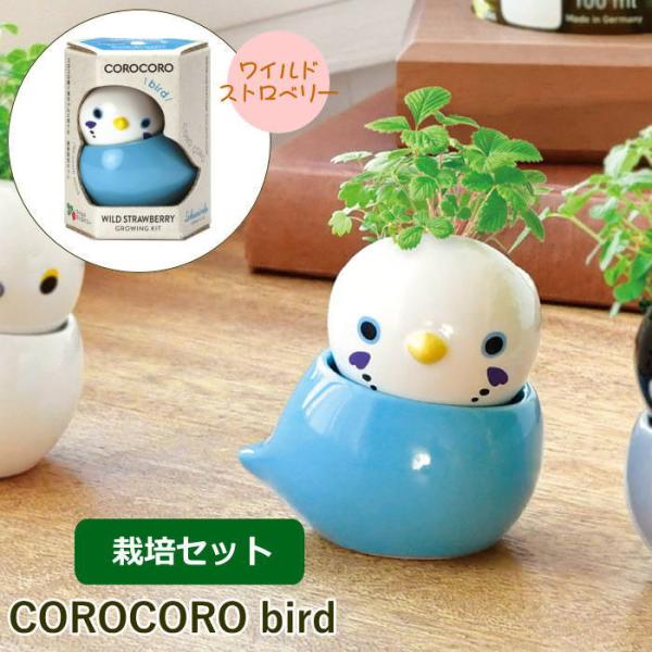 ●コロコロバード COROCORO bird セキセイ ワイルドストロベリー●大人気のコロコロシリーズにカラフルな小鳥たちが仲間入り！。かわいいパッケージで プレゼントにもぴったりです。●体の中に水を溜めて、頭の上で小さな植物を育てる底面給...
