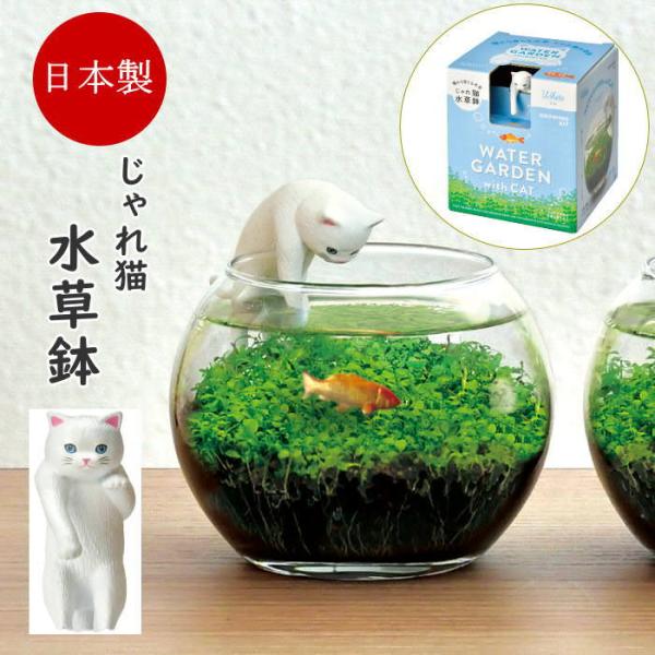 ●じゃれ猫水草鉢　白●手軽にアクアリウムをスタートできる種から水草を育てる必要なものが すべて揃った水草の栽培セットです。●猫のフィギュアは、鉢の縁に引っ掛けて飾れる仕様のため、水草鉢としてはもちろん他の植木鉢やプランターにも取り付けて楽し...