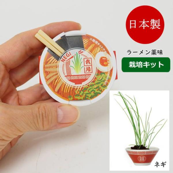 ●ラーメン薬味栽培キット 醤油ラーメン ネギ●ミニミニサイズの陶器製ラーメンどんぶりで育てる、器や土、種などが揃った栽培キットです。園芸初心者でも気軽に栽培に挑戦できます。●今も昔も愛される懐かしい昭和レトロデザインのどんぶりがチャームポイ...