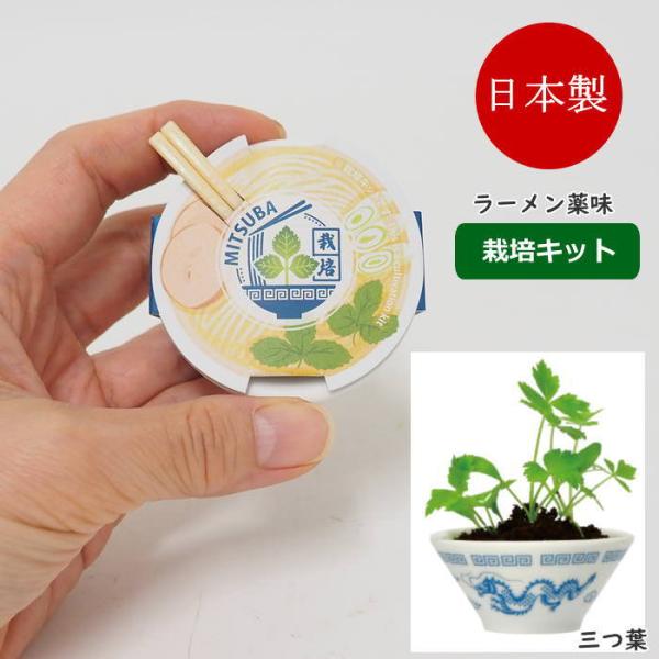 ●ラーメン薬味栽培キット 塩ラーメン 三つ葉●ミニミニサイズの陶器製ラーメンどんぶりで育てる、器や土、種などが揃った栽培キットです。園芸初心者でも気軽に栽培に挑戦できます。●今も昔も愛される懐かしい昭和レトロデザインのどんぶりがチャームポイ...