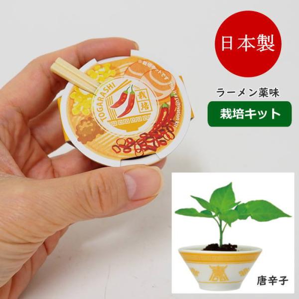 ●ラーメン薬味栽培キット みそラーメン 唐辛子●ミニミニサイズの陶器製ラーメンどんぶりで育てる、器や土、種などが揃った栽培キットです。園芸初心者でも気軽に栽培に挑戦できます。●今も昔も愛される懐かしい昭和レトロデザインのどんぶりがチャームポ...