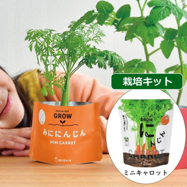 ●ベジパック ミニキャロット●親子で楽しむ食育をコンパクトに育てるミニ野菜を育てる栽培キット。●はじめてでも手軽にチャレンジできるパック型の野菜栽培キット。●パッケージをカットするだけで、裏面がカラフルな栽培ポットに変わります。▼サイズ等（...