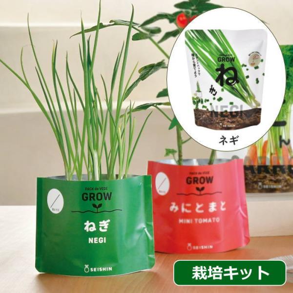 ●ベジパック ネギ●親子で楽しむ食育をコンパクトに育てるミニ野菜を育てる栽培キット。●はじめてでも手軽にチャレンジできるパック型の野菜栽培キット。●パッケージをカットするだけで、裏面がカラフルな栽培ポットに変わります。▼サイズ等（約ｃｍ）W...