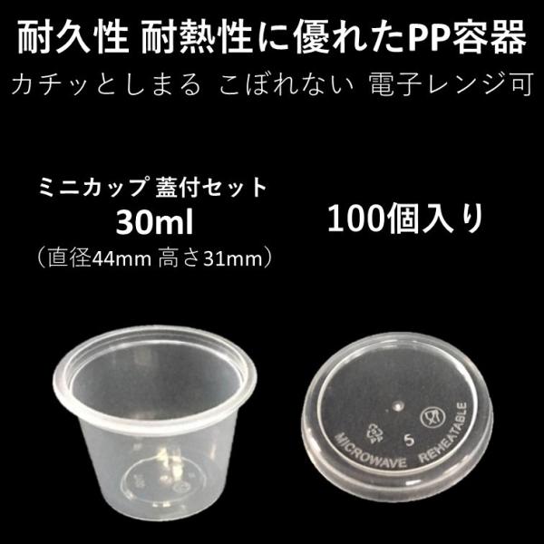 ・用途ケチャップ ドレッシング マヨネーズ ソース 液体調味料 たれ 薬味等のテイクアウト容器 持ち帰り容器としてお使いいただます。茶葉やオイルの販売容器 試供品容器やスイーツの持ち帰り用ソース入れとしても便利です。それ以外にも 農業用 水...