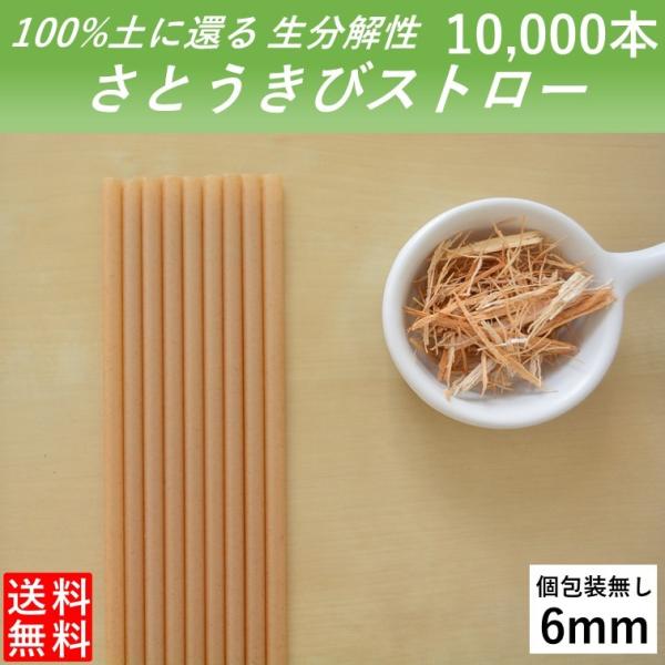 本来なら廃棄されるサトウキビの搾りカスから取れるバガス繊維を使用しています。石油由来のプラスチックを一切使用しておらず、１００％堆肥化ができる究極のエコストローです。紙ストローと比べ固い材質のため、通常のプラストローと同じ感覚で使用できます...