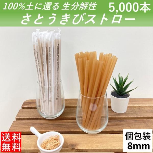【発売日：2021年11月05日】本来なら廃棄されるサトウキビの搾りカスから取れるバガス繊維を使用しています。石油由来のプラスチックを一切使用しておらず、１００％堆肥化ができるエコストローです。・特徴紙ストローと比べ固い材質のため、通常のプ...
