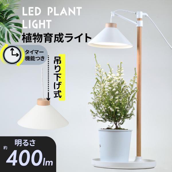 植物用ライト 室内での植物育成に