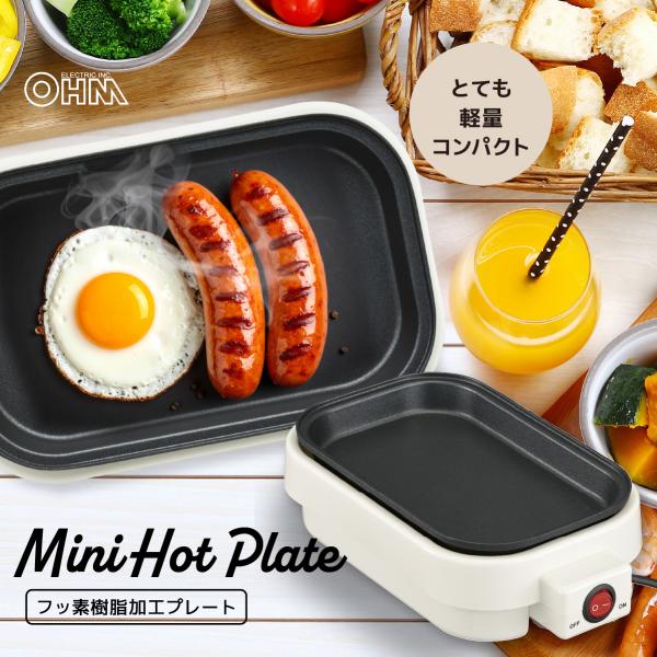 ギフト プレゼント 焼肉 おしゃれ 収納 お好み焼き 丸洗い 家族 バーベキュー 一人暮らし