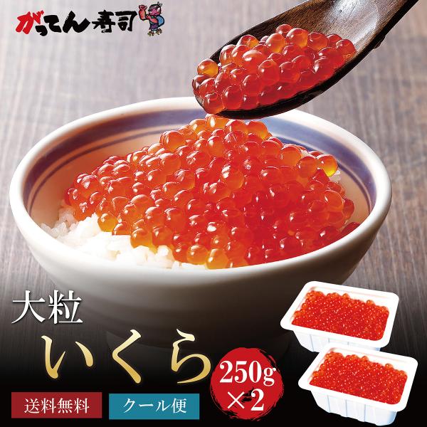 ご注文上限数：10個