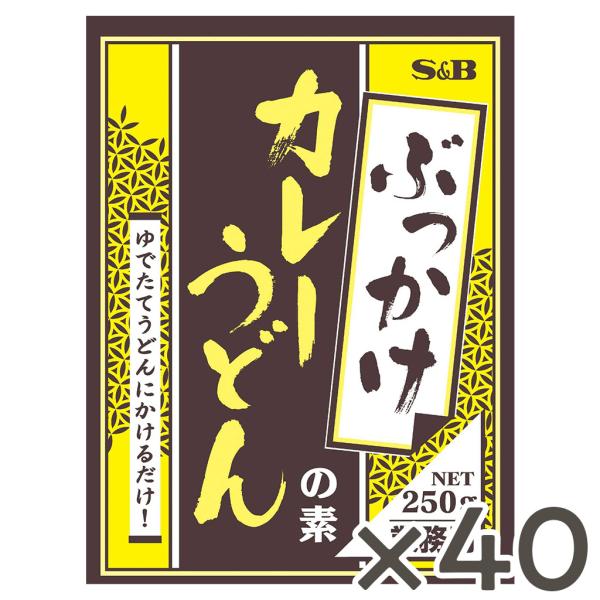 鰹だしとカレー粉・香辛料の風味が調和したカレーうどん用レトルトです。牛肉・玉ねぎ入りですので、ゆでたてうどんにかけるだけでおいしいカレーうどんができあがります。冷やしうどんとしてもおいしくお召し上がりいただけます。■納期情報（商品発送予定日...