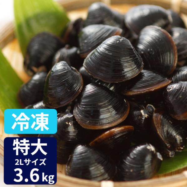 キーワード：しじみ 宍道湖産 大和しじみ 冷凍  砂抜き済み 国産 島根県産 冷凍しじみ 特大◆しじみの身が大きくて食べやすく、お味噌汁や酒蒸しに大活躍！（商品内容）・宍道湖産大和しじみ2Lサイズ　砂抜き済み　2Lサイズしじみの粒の大きさ：...