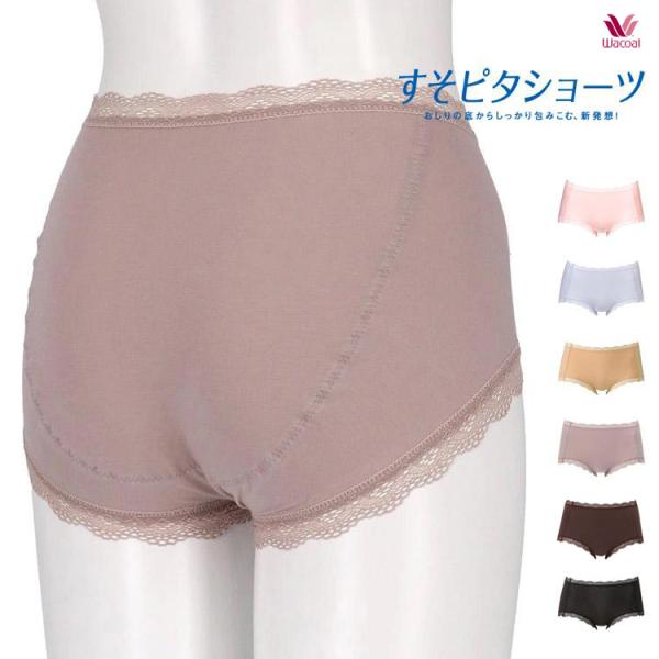 すそピタショーツハーフ・ハイカット・レーシィタイプはきこみ丈：ふつうマチ裾部分から後ろ裾にかけて、おしりをすくい上げるような、のワコール独自の新しいパターンを開発！おしりをすっぽり覆うことが可能で、動いても裾ズレしきくく、着くずれしにくいシ...