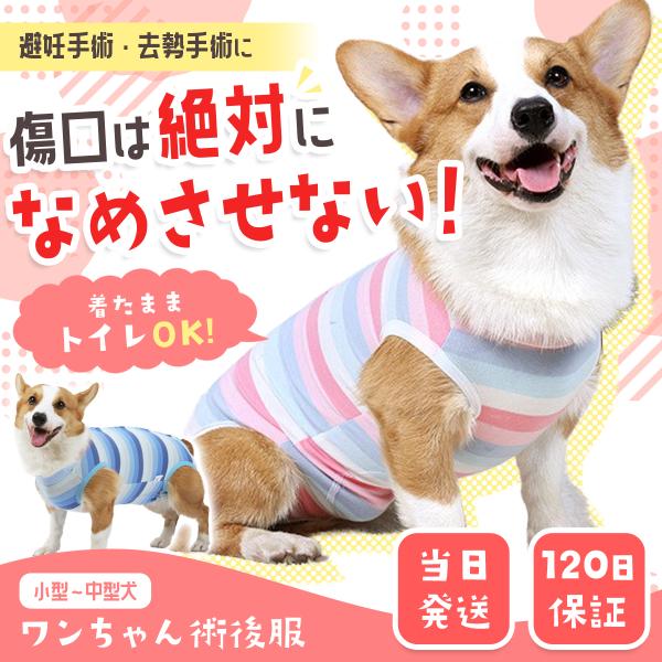 商品名：犬 術後服 エリザベスカラー メス 犬用 服 背中開き 去勢 小型犬 【犬 術後服 おすすめポイント♪】1. ストレッチ素材 で脱げにくい!!　体にしっかりフィットするから服が脱げにくくて安心♪　-袖口と首元は リブ仕様　　袖や首の...