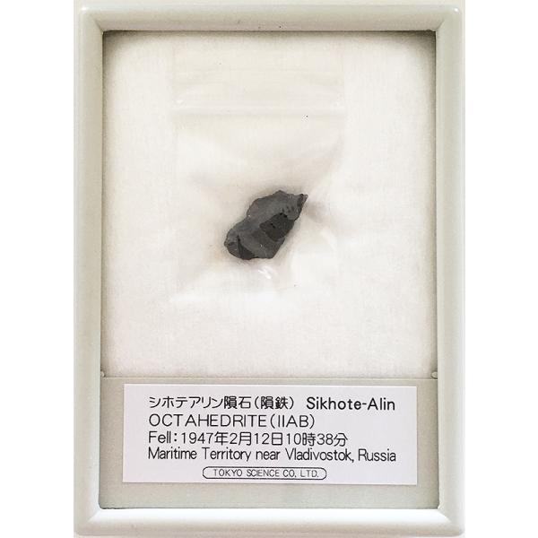 シホテアリン隕石（隕鉄）Sikhote-Alin OCT AHEDRITE(IIAB) Fell:1947年2月12日 10:38Maritime Territory near Vladivostok,Russiaケースサイズ：82×60 ...