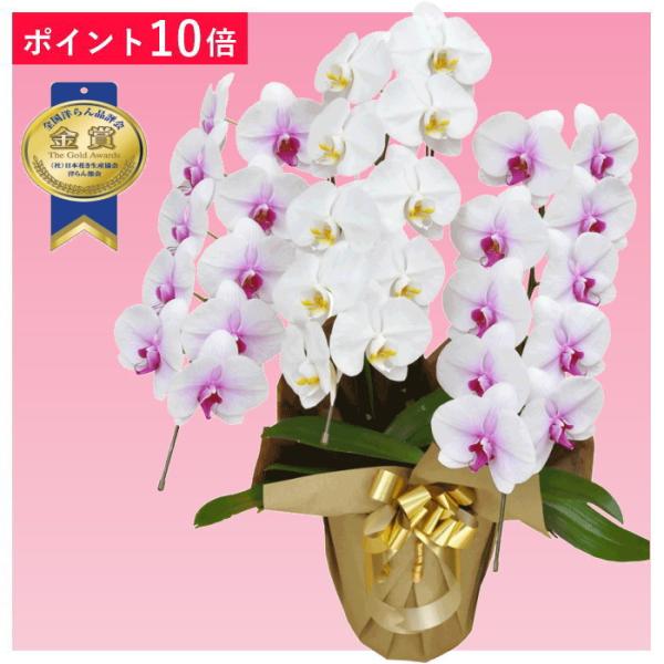 ■お届け日時平日、土曜日のAM11時までにご注文（決済完了）で当日出荷します。期日指定も可能です。※日曜日、祝日、年末年始は即日出荷の対応ができません。■立札、メッセージカード、ラッピング立札、メッセージカードは無料。ご希望の色でラッピング...