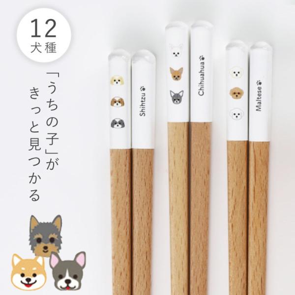 ■サイズ:23cm■原産国:日本■材質:本体/天然木、塗/ウレタン■備考:食洗機対応■キーワード：箸 おしゃれ 食洗機対応 食洗器対応 箸 木製 名入れ ネーム彫刻 箸 お箸 22.5cm 箸 先 細い すべり止め 滑り止め 犬 イヌ いぬ...