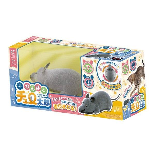 わんぱくなチュー太郎が元気いっぱい走りまわる！ネコちゃんも興味津々！？