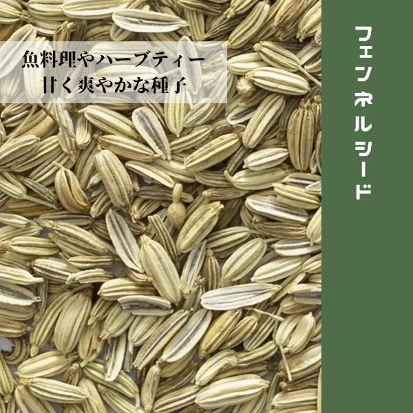 フェンネル（20g）甘く爽やかな香りと、やさしい風味のスパイスシードフェンネルは、ほんのり甘い香りと清涼感を併せ持つ、料理にもハーブティーにも使える万能スパイスです。魚料理やスープ、ピクルスなどの香りづけに最適で、カレーやパンにもよく合いま...