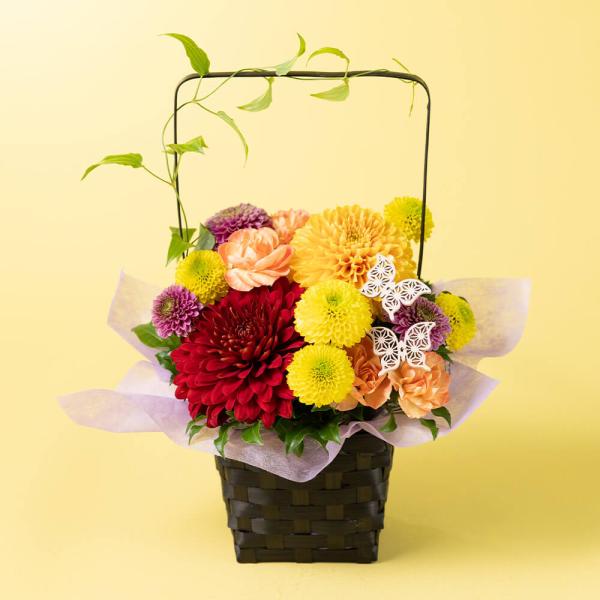 大人な配色で華々しく和モダンに仕上げたアレンジメント和の雰囲気が趣深い、京都で創業100年のお花屋さん監修のアレンジメント。 華麗に咲くオレンジと赤のマム（洋菊）が目を引き、和の雰囲気を演出します。 スプレーマムやスプレーカーネーションの花...