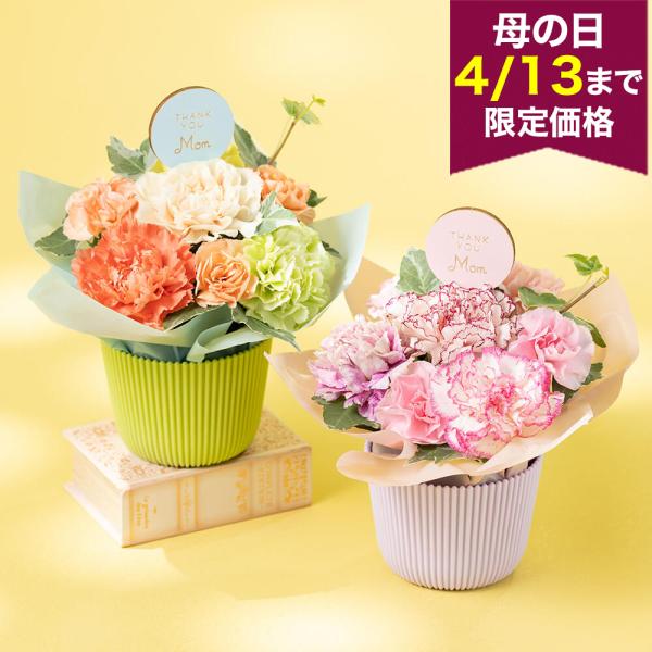 「THANK  YOU Mom」のメッセージピックを添え、感謝の気持ちが伝わる母の日ギフトに仕上げました。 ・ピンクピンク×ラベンダーの、キュートなアレンジメントピンク色のグラデーションのカーネーションでまとめた母の日の王道アレンジメントで...