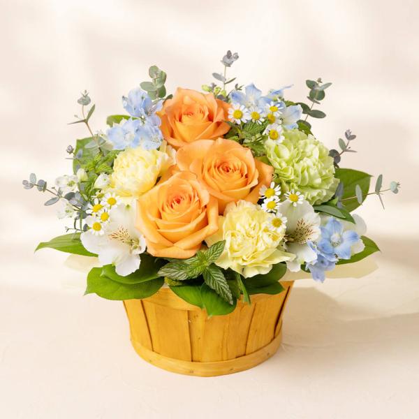 爽やかな印象のナチュラルアレンジメント鮮やかなオレンジ色のバラやアルストロメリア、ミントや小花をあしらったナチュラルアレンジメントです。 淡いブルーのスプレーデルフィニウムが爽やかな印象もプラスしています。 ナチュラルなアレンジメントなので...