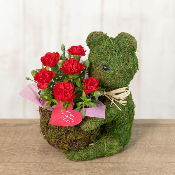 くまさんがお母さんにお花をお届けモスベアが両手にお花を抱えてお届けします。お花は母の日には欠かせない鮮やかに咲き誇る赤いカーネーションで、花言葉は「母への愛」です。お花を抱えたくまさんは、シルエットだけのシンプルなモスポットなので、子どもっ...