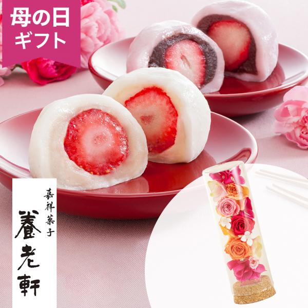 口いっぱいに広がる果汁、いちごを丸ごとひとつ包んだ大福  「あまおう」苺がまるごと１粒  創作大福で人気の京都の老舗和菓子店『京都 養老軒』が監修した苺大福。紅白の大福で、見た目にも華やかです。 「あかい・まるい・おおきい・うまい」の頭文字...