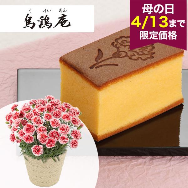 しっとり上品な味わい、母の日限定の烏骨鶏かすていら  希少な天来烏骨鶏（てんらんうこっけい）の卵を使用したカステラ  金沢の「烏鶏庵」より直営農場で採卵した、希少な天来烏骨鶏（てんらんうこっけい）の卵を使用した「母の日烏骨鶏かすていら」をお...